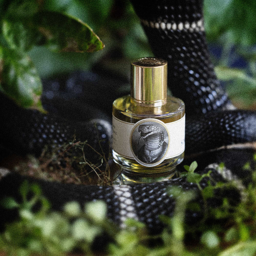 Welcome to Cave Parfumerie